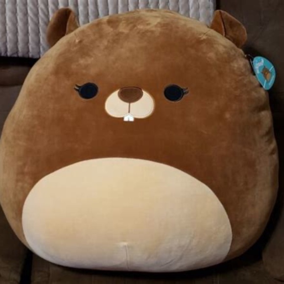 Squishmallows | Toys | Giant Squishmallow Rare Gardenia 24 Inch For ...